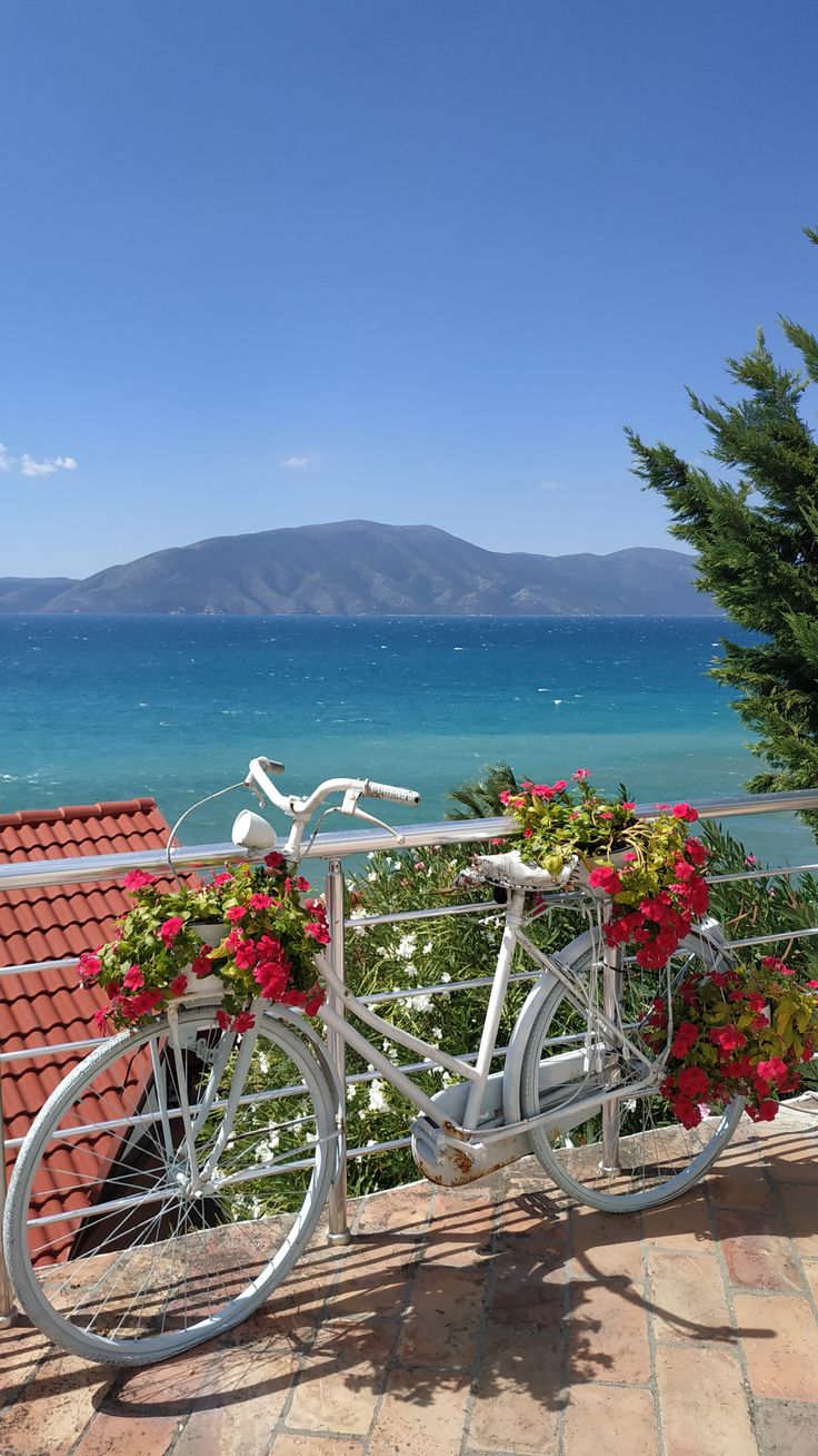 From Tirana:Tour in Vlora & Speed boat in Gjipe | Amazing Albania